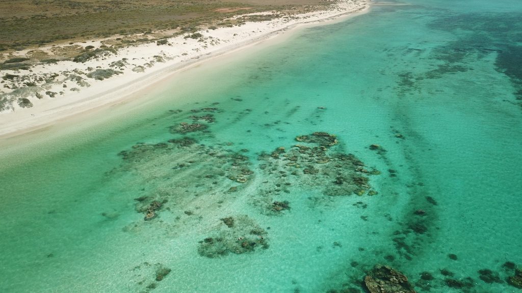 What to do on the Coral Coast (WA) - Complete Guide
